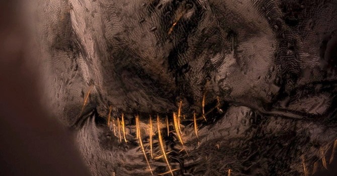 Il volto "umano" di una formica vista da vicino, il successo sui social ...